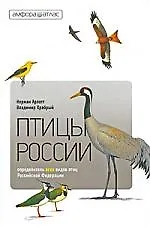 Птицы России: Справочник-определитель - купить книгу с доставкой в ...
