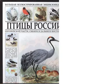 Большая иллюстрированная энциклопедия. Птицы России (Сергей Афонькин ...