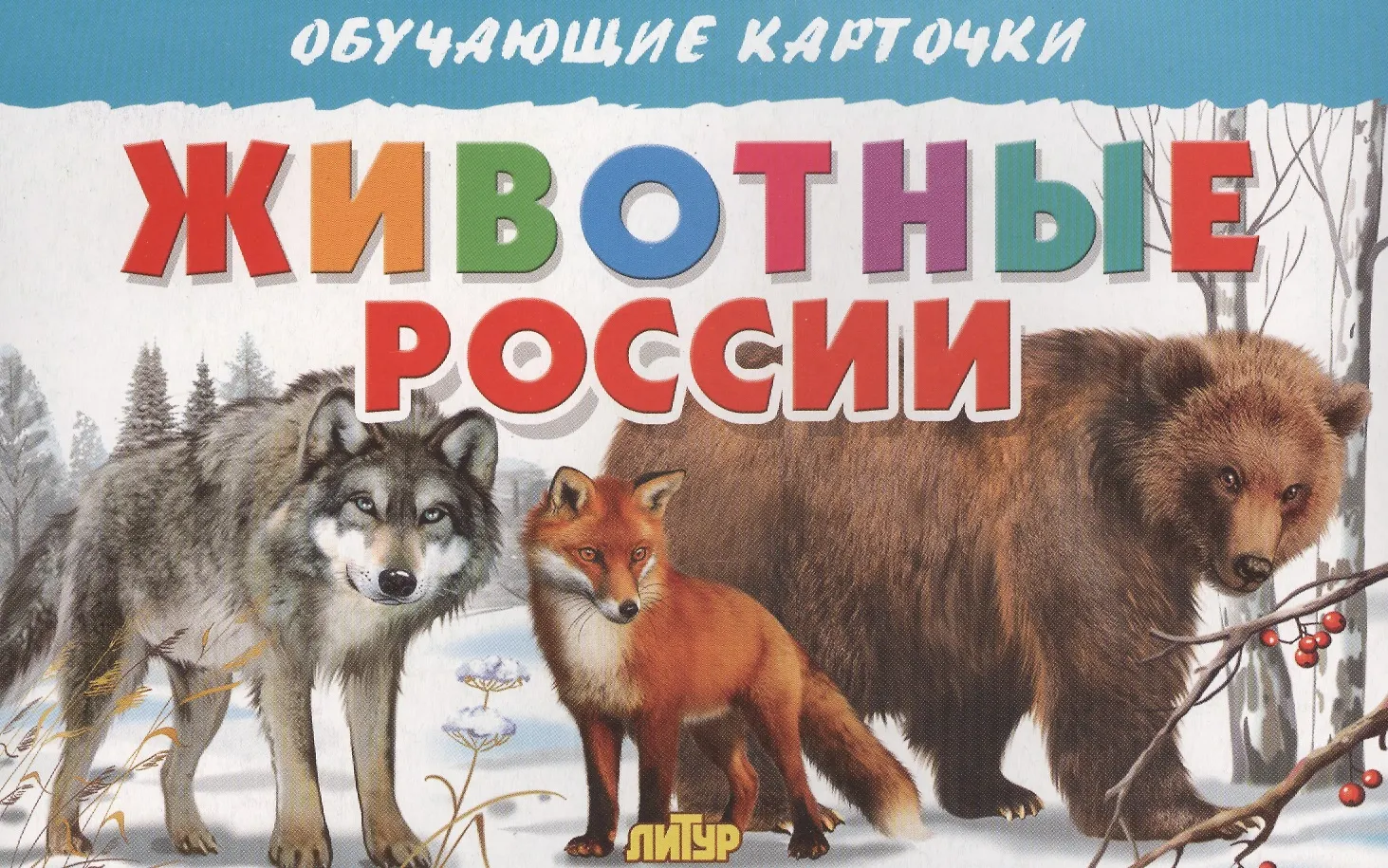 Обуч.карт.Животные России - купить книгу с доставкой в интернет ...