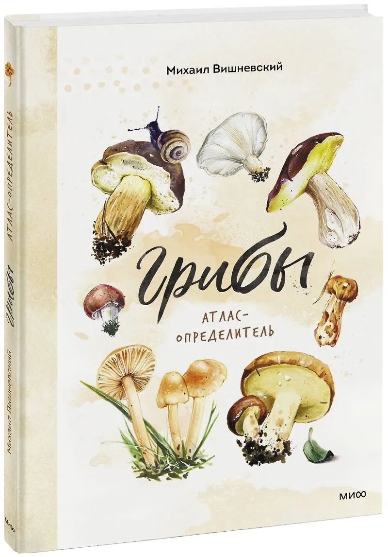 Грибы. Атлас-определитель (Михаил Вишневский) - купить книгу с ...