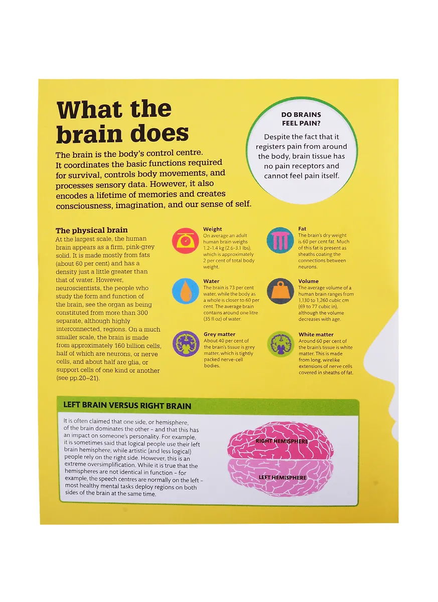 How the Brain Works - купить книгу с доставкой в интернет-магазине ...