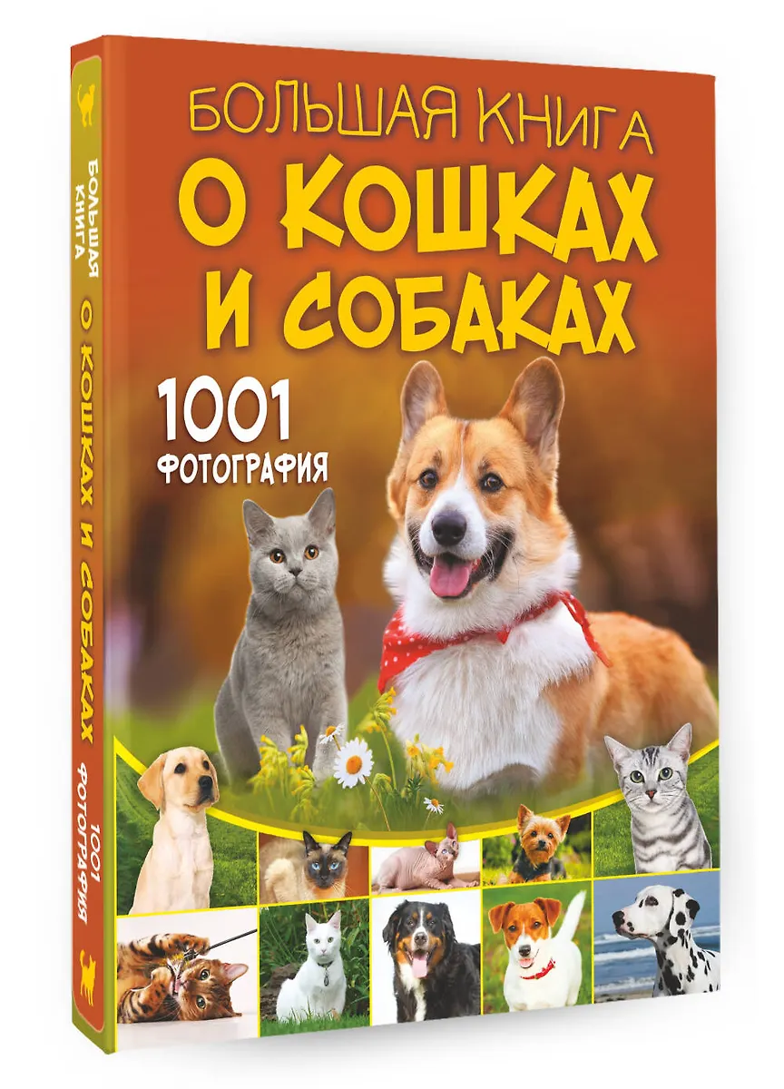 Большая книга о кошках и собаках. 1001 фотография (Ирина Барановская ...