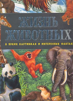 Жизнь животных в ярких картинках и интересных фактах - купить книгу с ...