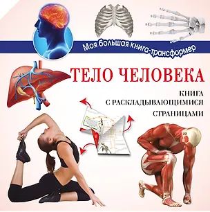 Тело человека - купить книгу с доставкой в интернет-магазине «Читай ...